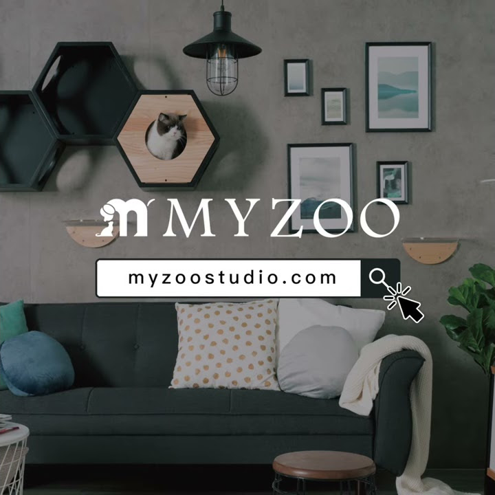 MYZOO 案例分享｜現代工業風 - YouTube