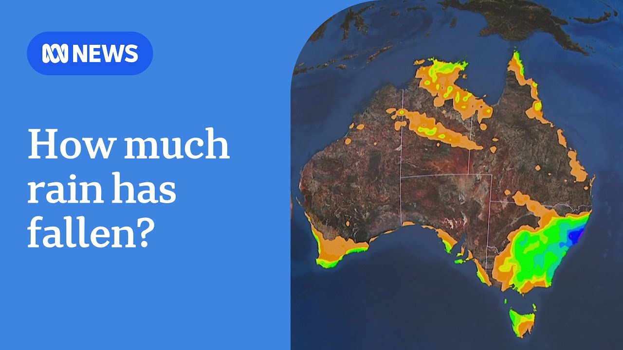 How much rain has fallen over the last 24 hours? | ABC NEWS - YouTube