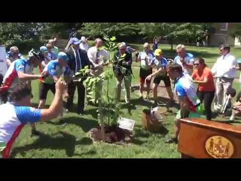 Annapolis Liberty Tree Blessing - YouTube