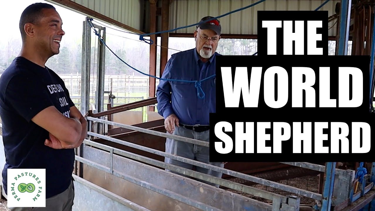 The World Shepherd's Sheep System Pt. 1 - YouTube