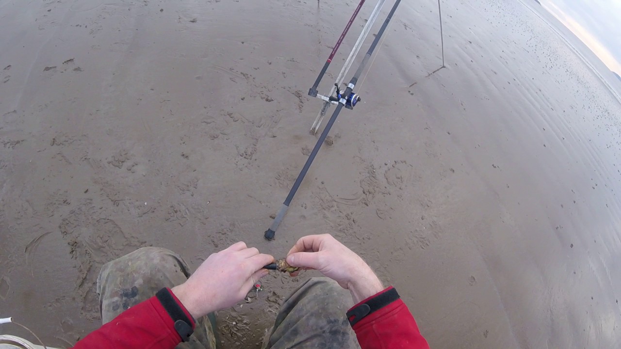 Tronix Pro Bait Tool - YouTube