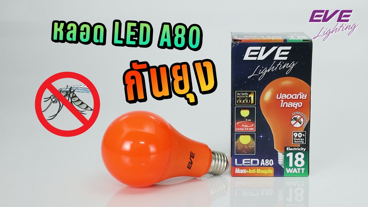 หลอด LED A80 สีส้มกันยุง - EVE Lighting - YouTube