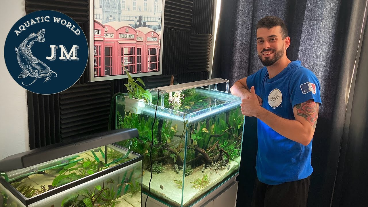 ¡MI HISTORIA en la acuariofilia! - YouTube