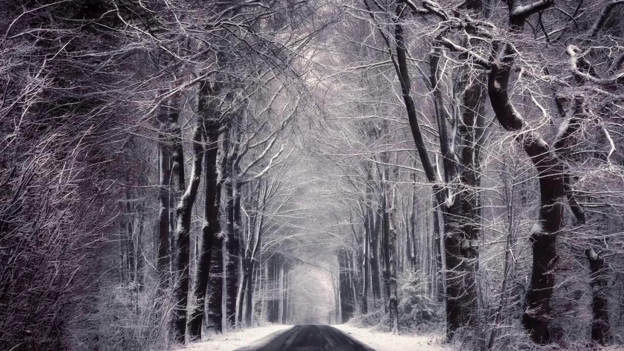 Inge Bovens Photography - Forests and Fairytales.. - YouTube