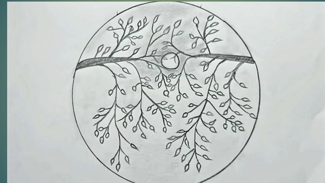 How To Draw Tree Branches | Easy Tree Branches Drawing - YouTube