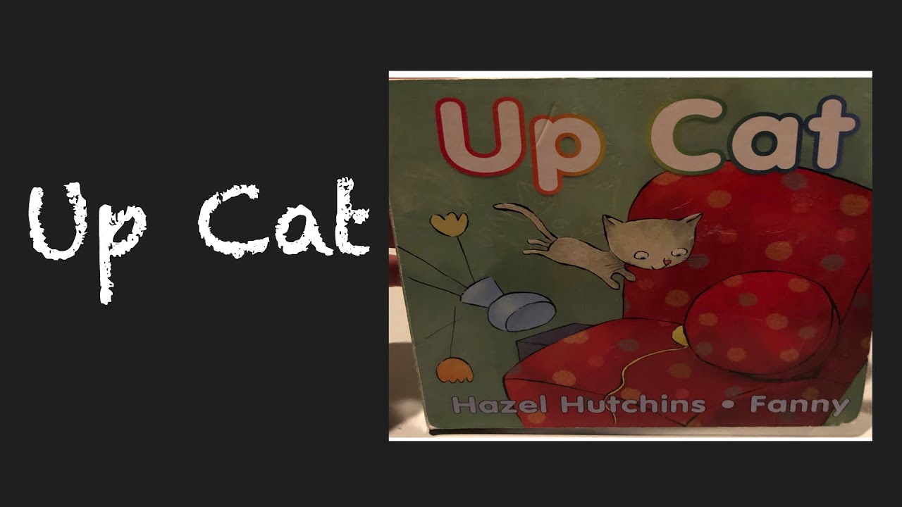 Up Cat - YouTube