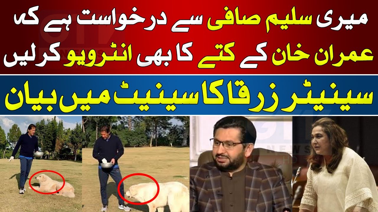 I request Salim Safi to Interview Imran Khan's Dog as well - Senator Dr ...
