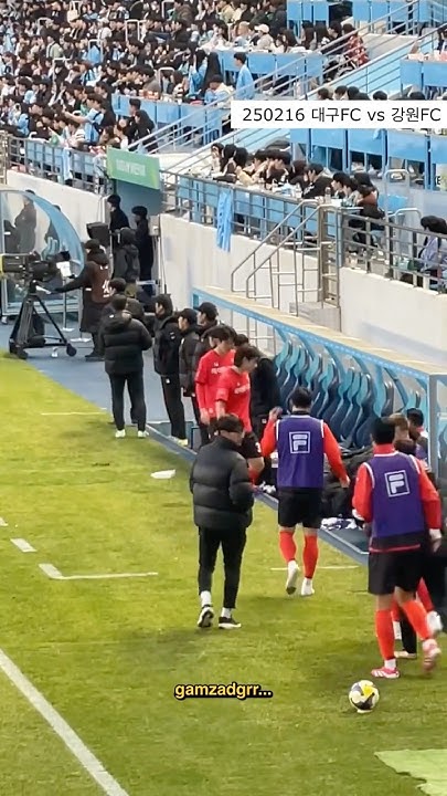 250216 1R 대구FC vs 강원FC : 김동현 선수, 이지호 선수 #강원fc #김동현 #이지호 #축구 - YouTube