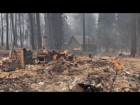 State Farm stops accepting new homeowners insurance applications in ...