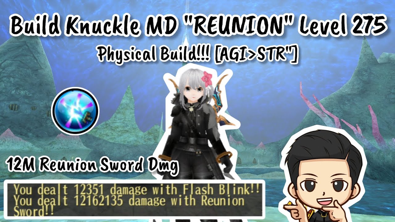 Build Knuckle MD Reunion Level275 (Physical Build!!!) Toram Online ...