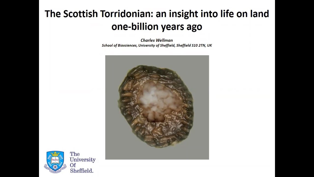EGS lectures 2022 Charles Wellman - Life on land one-billion years ago ...