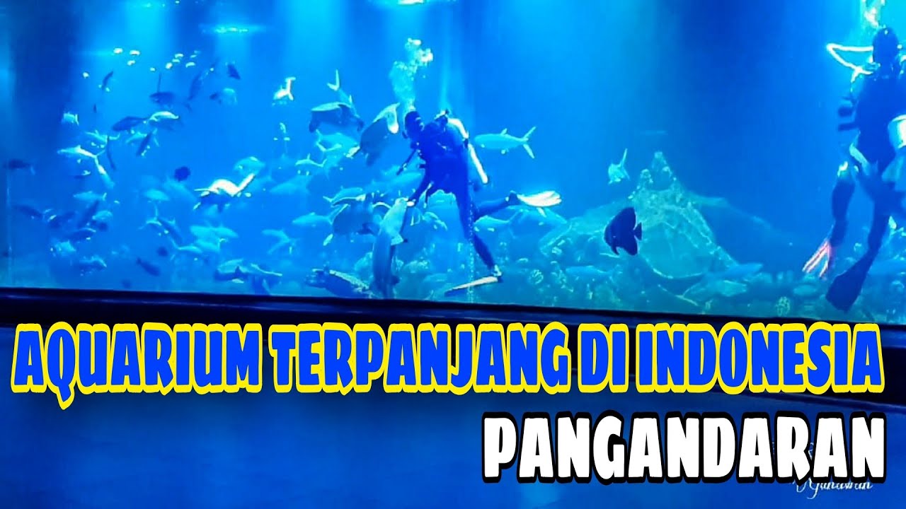 AQUARIUM INDONESIA PANGANDARAN || RUTE DAN HARGA TIKET MASUK - YouTube