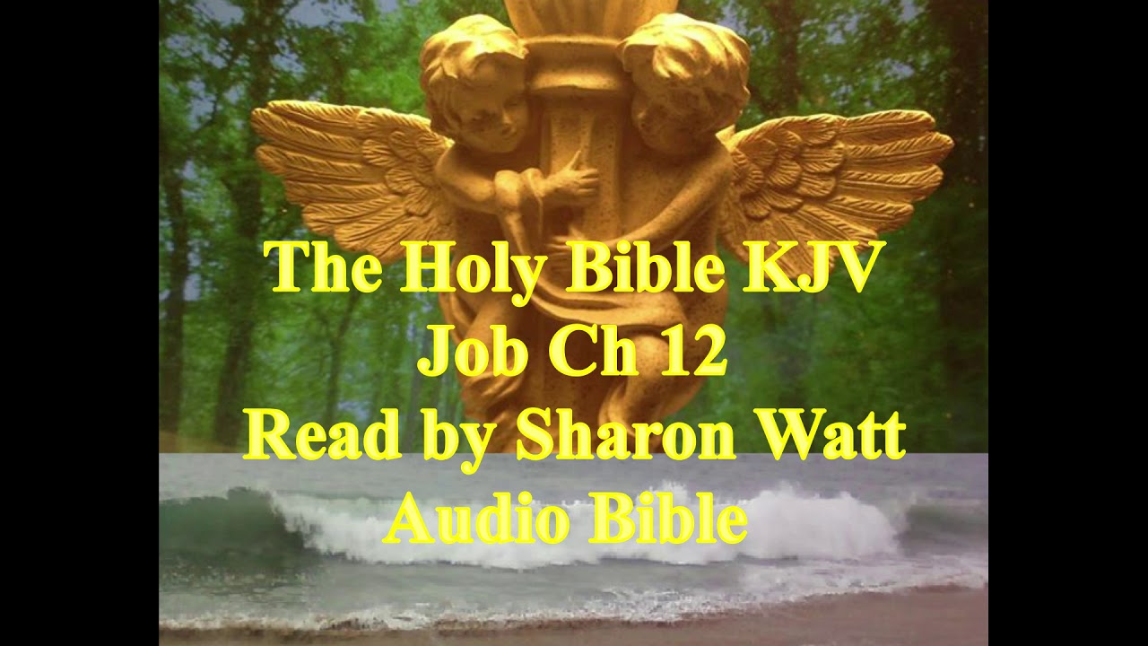 The Holy Bible KJV, Book of Job, Chapter 12, Read by Sharon Watt, Audio ...