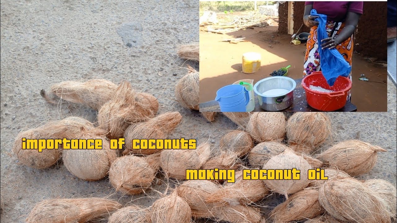 HOW TO PREPARE COCONUT OIL IN THE VILLAGE#COCONUT OIL RECIPE - YouTube