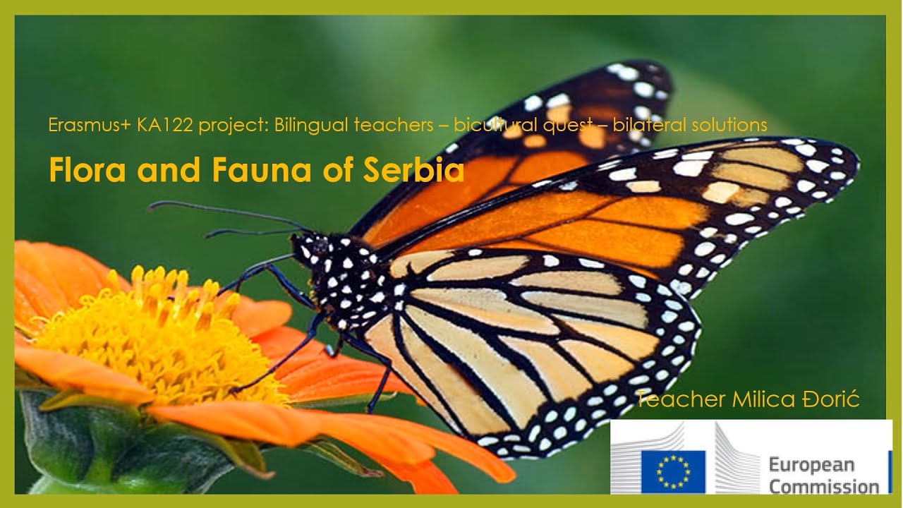 Flora and Fauna of Serbia(Erasmus+ project Bilingual teachers) - YouTube