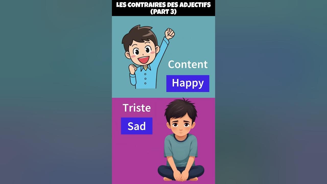 Useful French Adjectives and Their Opposites (PART 3) - Les Contraires ...