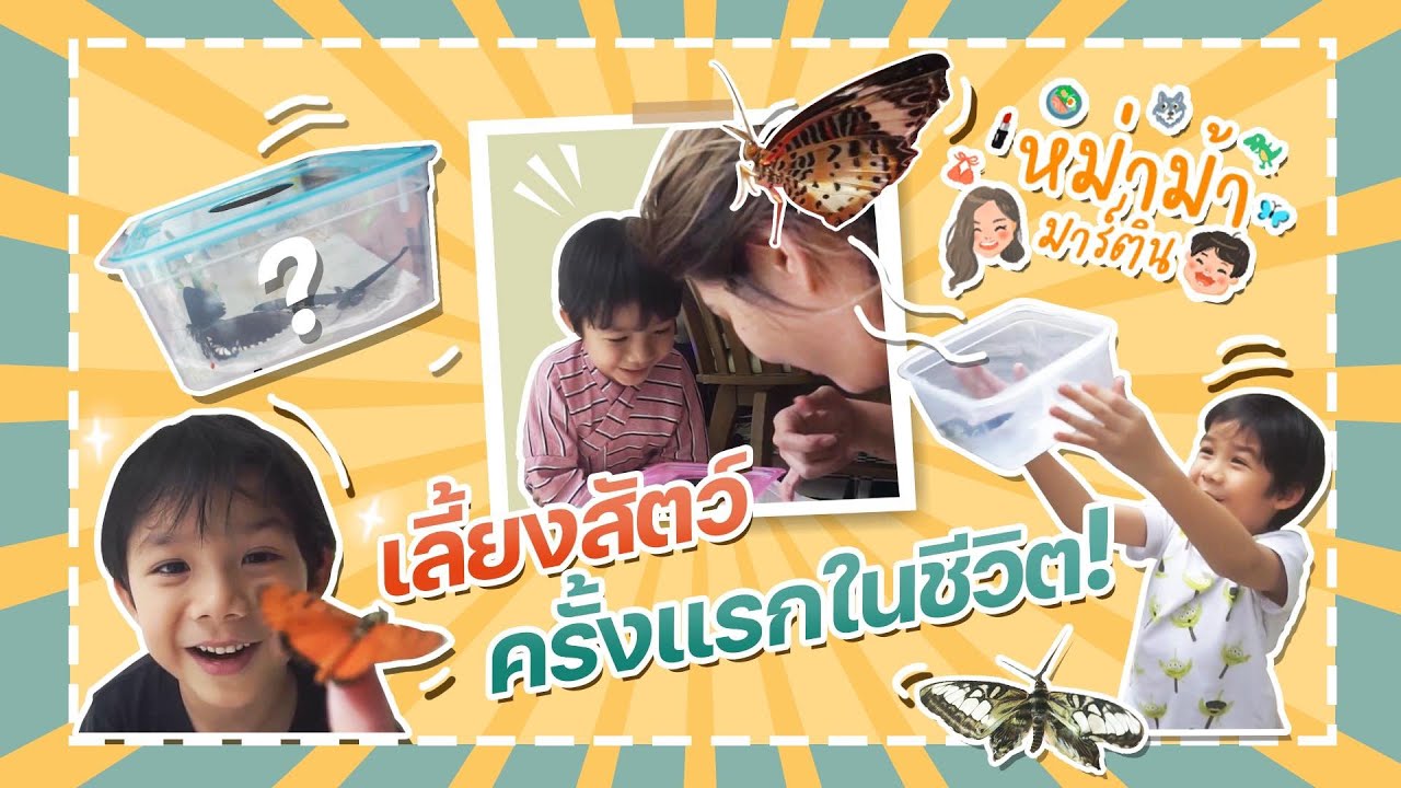 เลี้ยงสัตว์ครั้งแรกในชีวิตของมาร์ติน!! มาดูผีเสื้อที่บ้านตินมั้ยยย ...