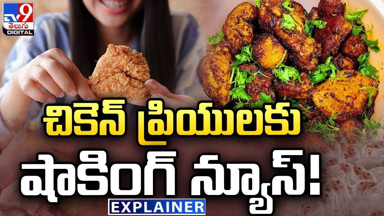 Explainer : చికెన్ ప్రియులకు షాకింగ్ న్యూస్..! - TV9 - YouTube
