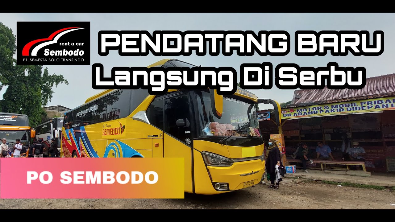 PO SEMBODO || PENDATANG BARU YANG BIKIN HEBOH || DISERBU PENUMPANG ...
