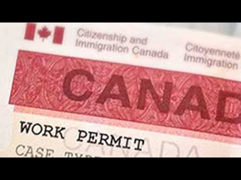 How to and What to fill in Post Graduate Work Permit IMM5710 Form in ...