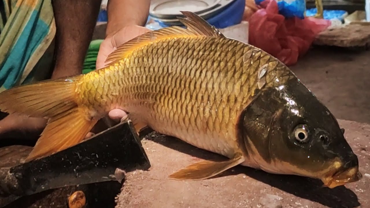 Amazing Cutting Skills | Big Golden Carp Fish Cutting & Skinning In ...