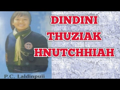 Dindini thuziak hnutchhiah : 1993-2012 (Mizo inspirational story)