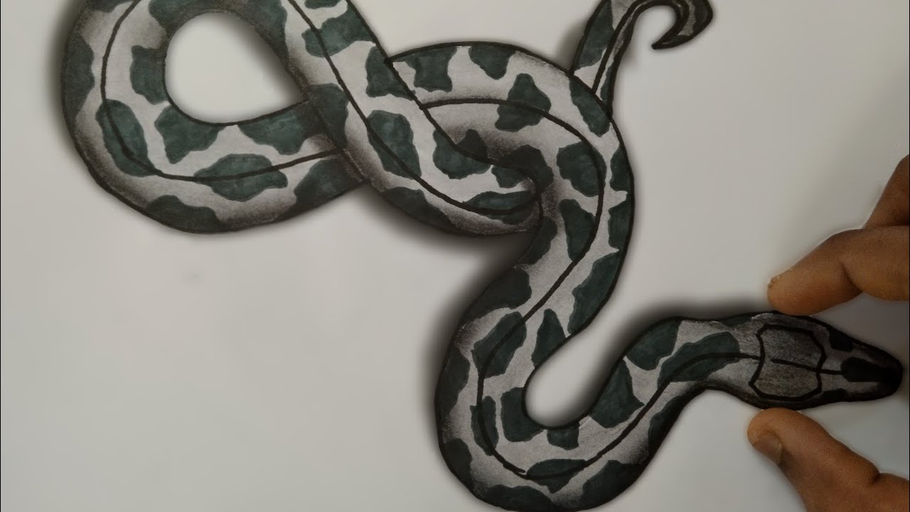 Pick up a snake by finger drawing |snake drawing | Reptile drawing ...