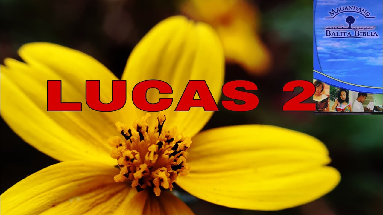 LUCAS 2 || ANG PAGSILANG NI JESUS || ANG MGA PASTOL AT ANG MGA ANGHEL ...