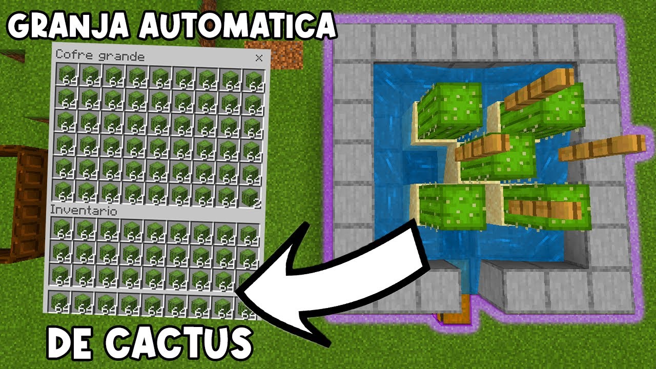 🌵 COMO HACER UNA GRANJA DE CACTUS Y TINTE VERDE | +1.17 MINECRAFT - YouTube