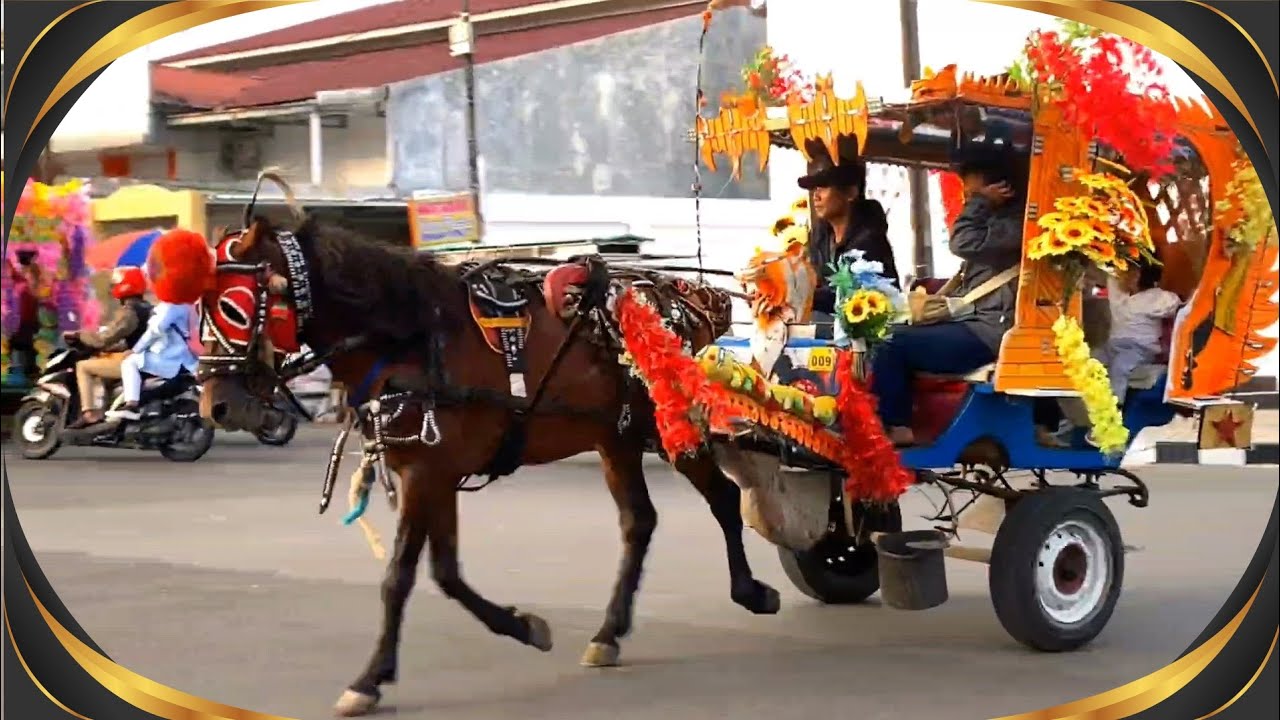 KUDA KUNINGAN - KUMPULAN VIDEO KUDA - KUDA PACU - KUDA LUMPING - KUDA ...