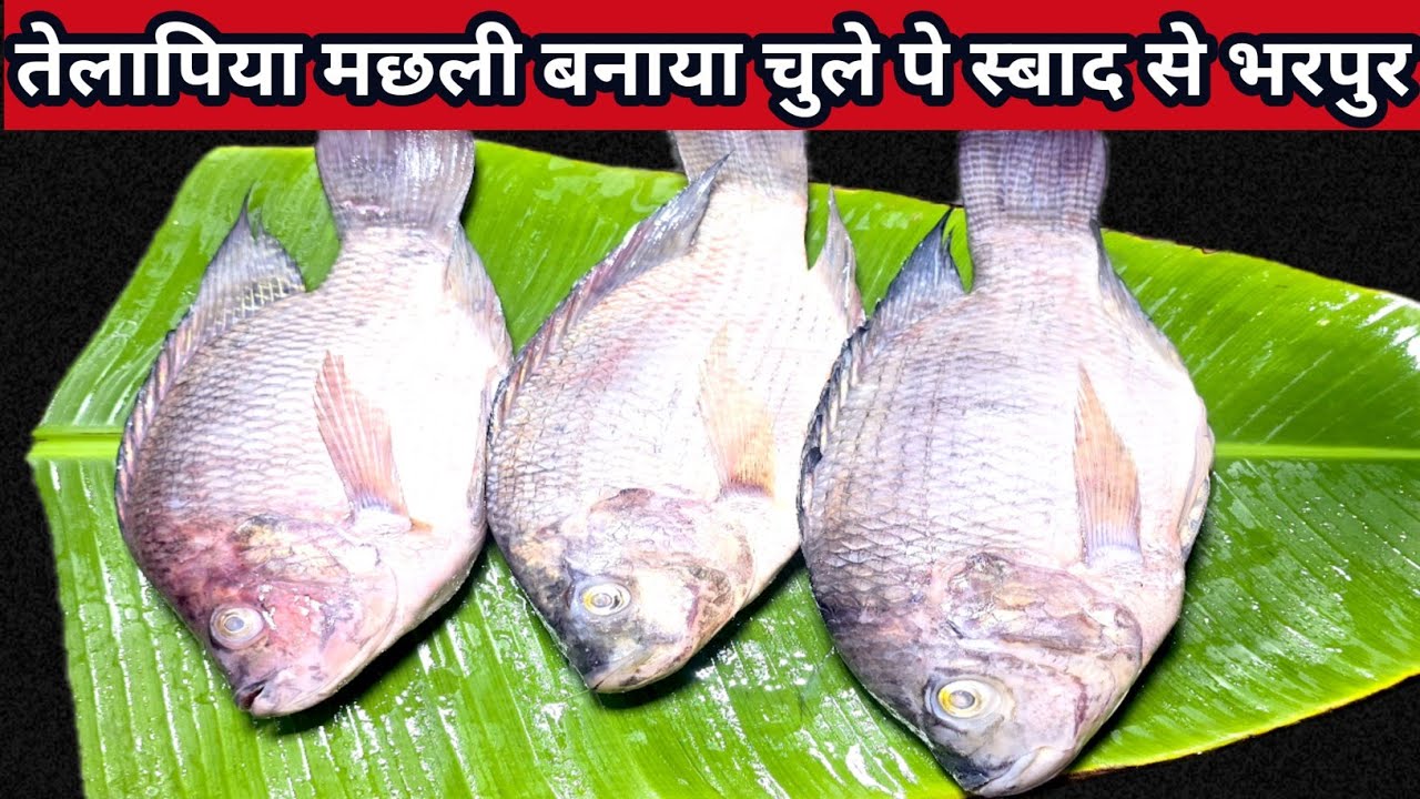तेलापिया मछली करी | गाँव के तरीके से बनाएंगे तो कहेंगे | Telapiya Fish ...