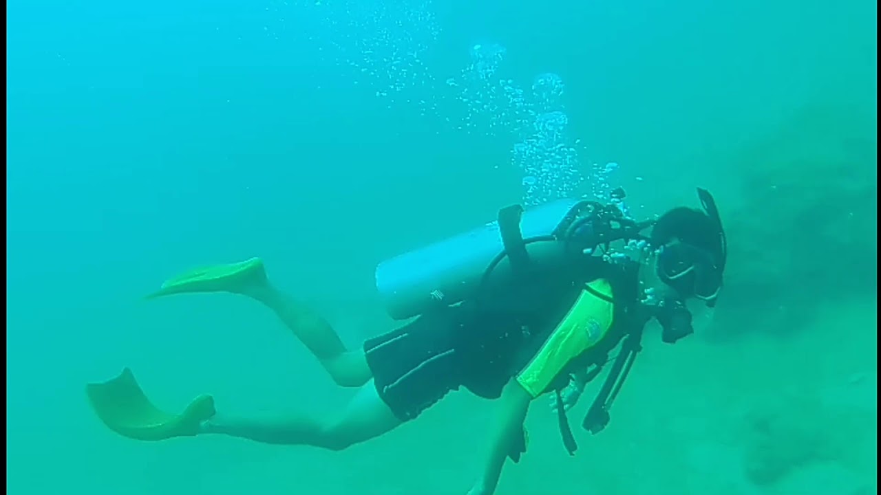 Sensasi menyelam di Pulau Dedap Batam Kepulauan Riau | Diving sensation ...