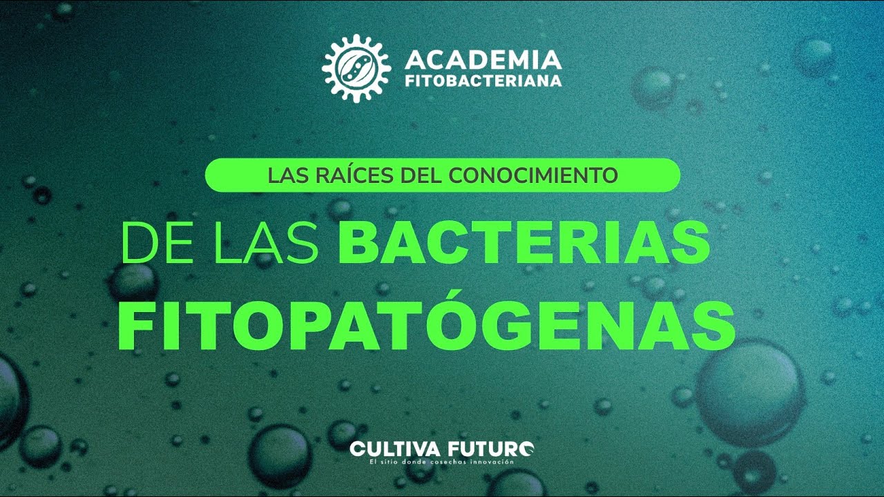 EPISODIO 1: BACTERIAS FITOPATÓGENAS / ACADEMIA FITOBACTERIANA - YouTube