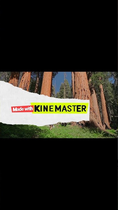 How to create subscribe and bell icon intro | subscribe button animation #shorts # ...