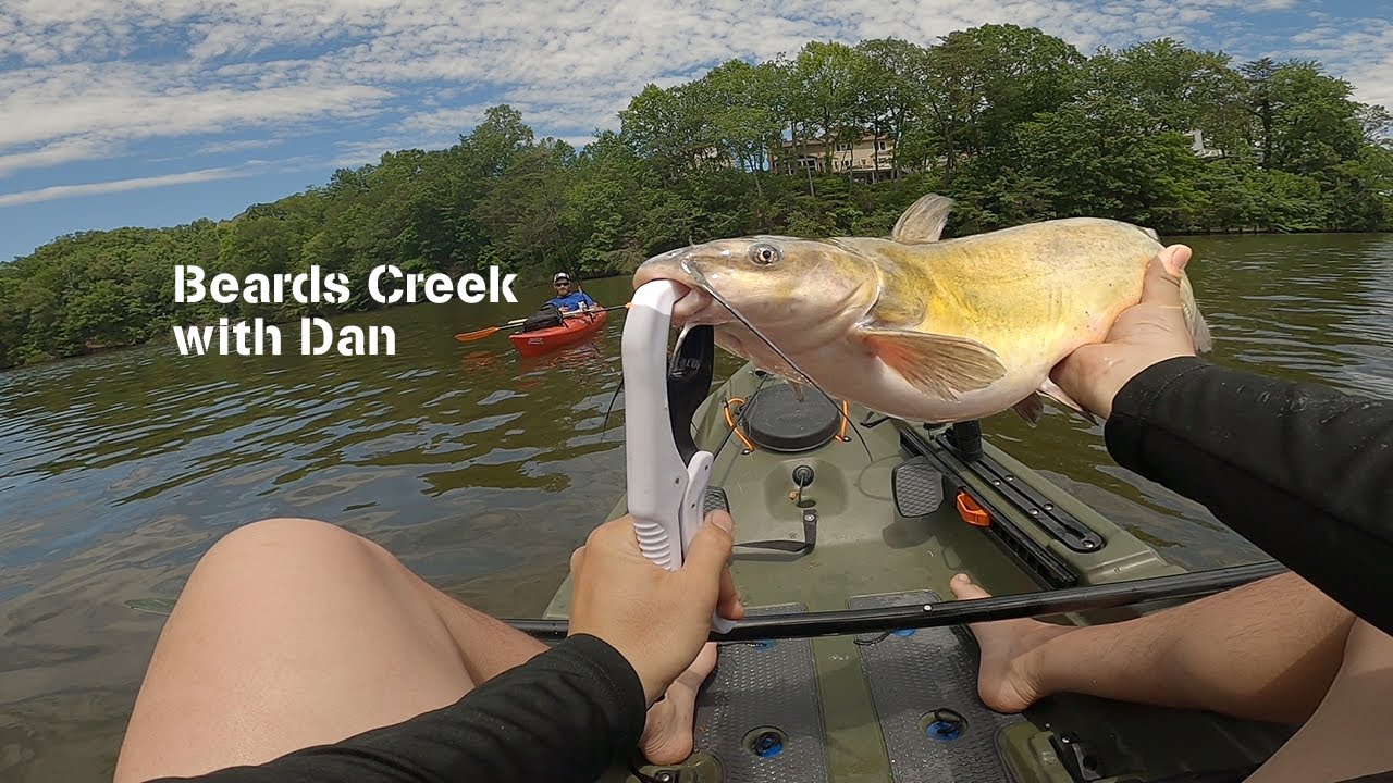 Fishing Beards Creek with Dan. CARP SPAWN! DISGUSTING lol - YouTube