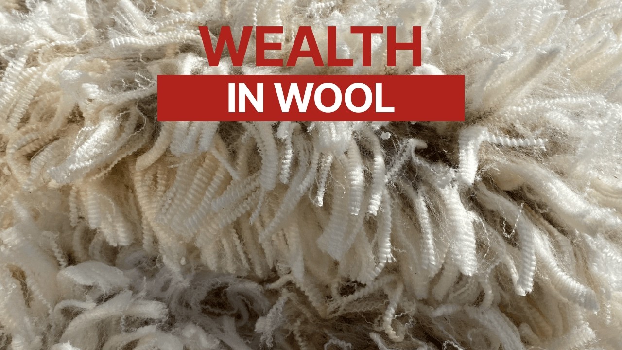 Wealth In Wool - With Mark Ferguson from neXtgen Agri - YouTube