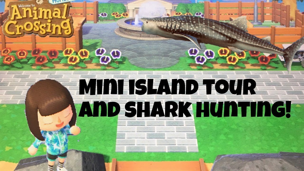 Mini Island Tour -Looking for Sharks (Animal Crossing New Horizons ...