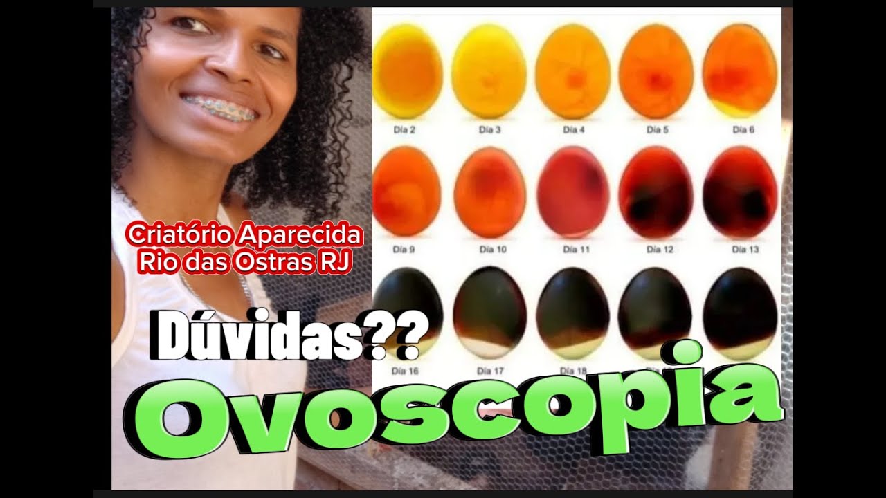 Como fazer Ovoscopia? Embrião Vivo ou morto - YouTube