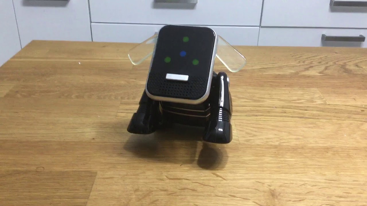2008 Hasbro I-Dog by Sega Toys LTD - YouTube