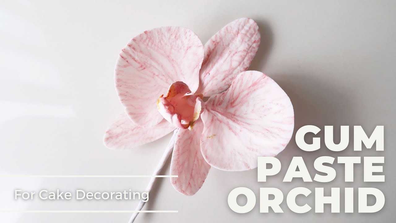 How to make a Gum Paste Sugar Orchid - YouTube