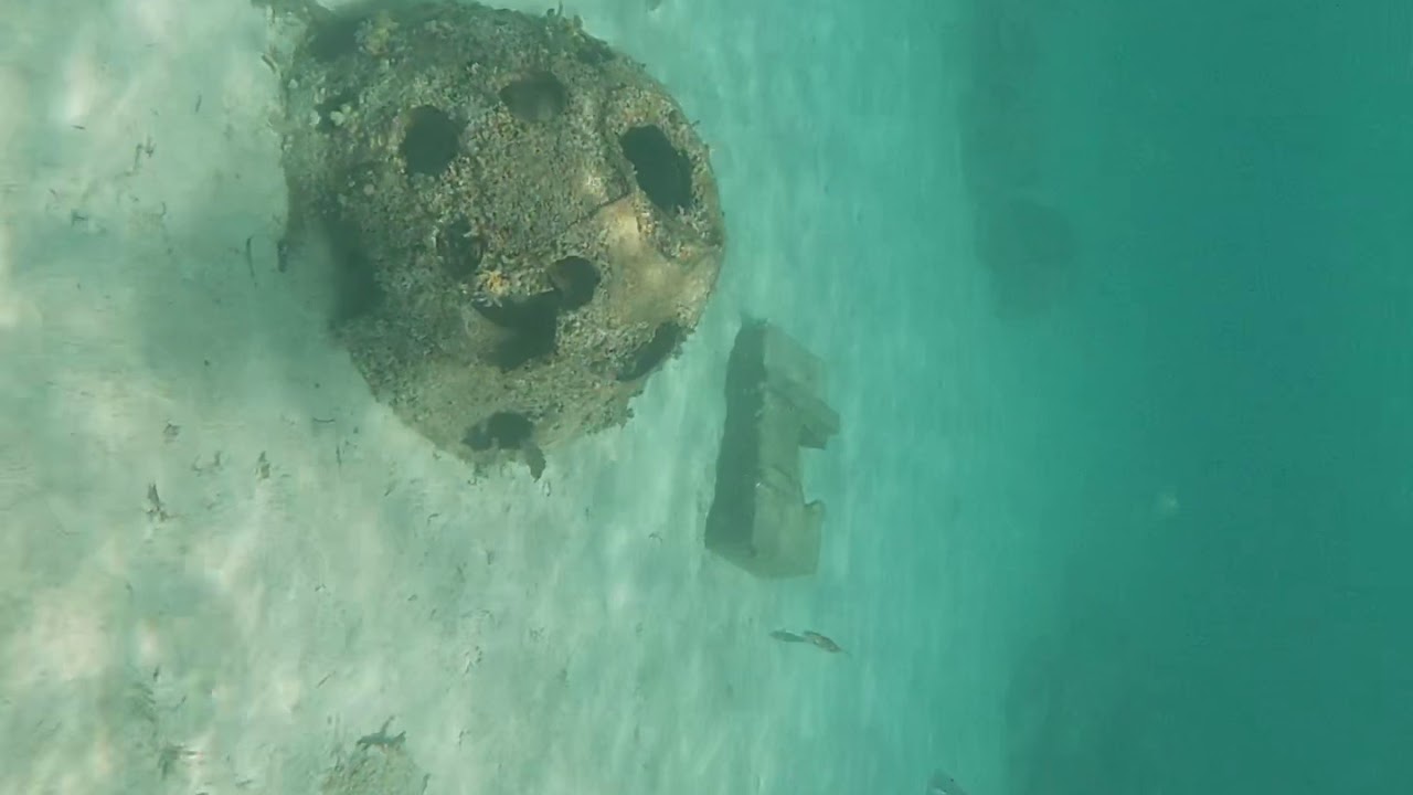 Snorkeling on Disney’s Castaway Cay 10 - YouTube