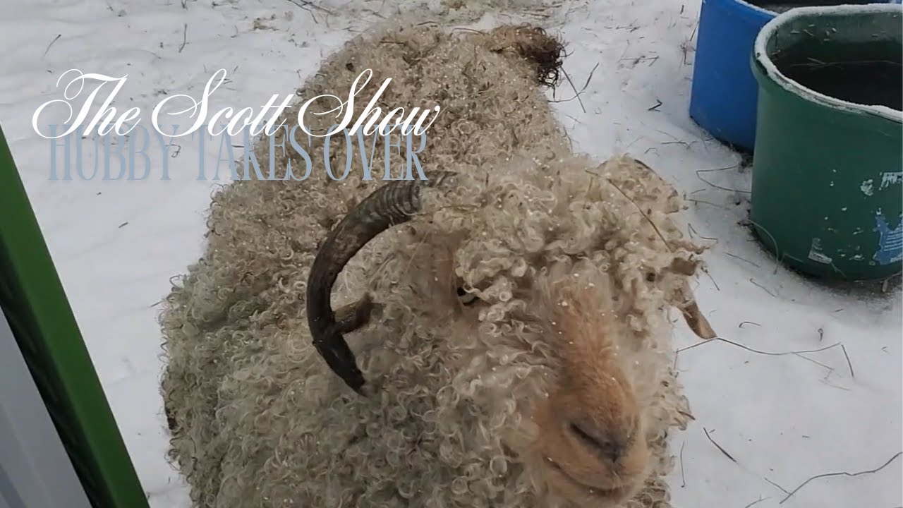 The Scott Show~Hubby Takes Over - YouTube