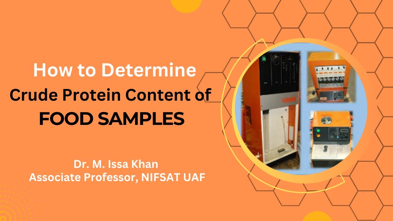Determination of Crude Protein Content of Food Samples? | Dr. M. Issa ...