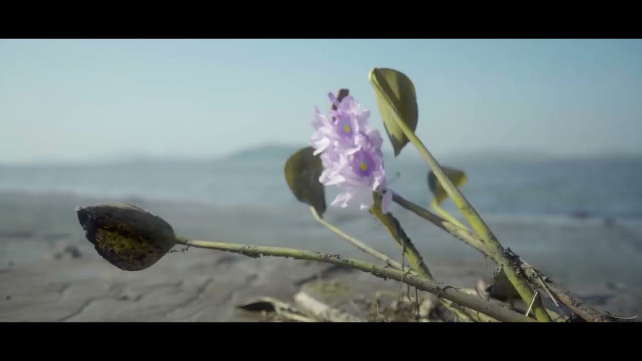 A.VOID VISUALS SHOWREEL 2023 - YouTube