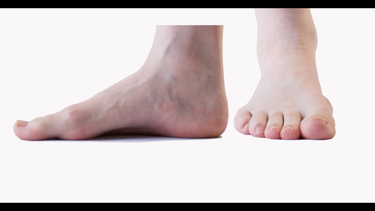 maya tutorial in hindi | foot modelling maya pt1 |Easy Foot Modeling ...