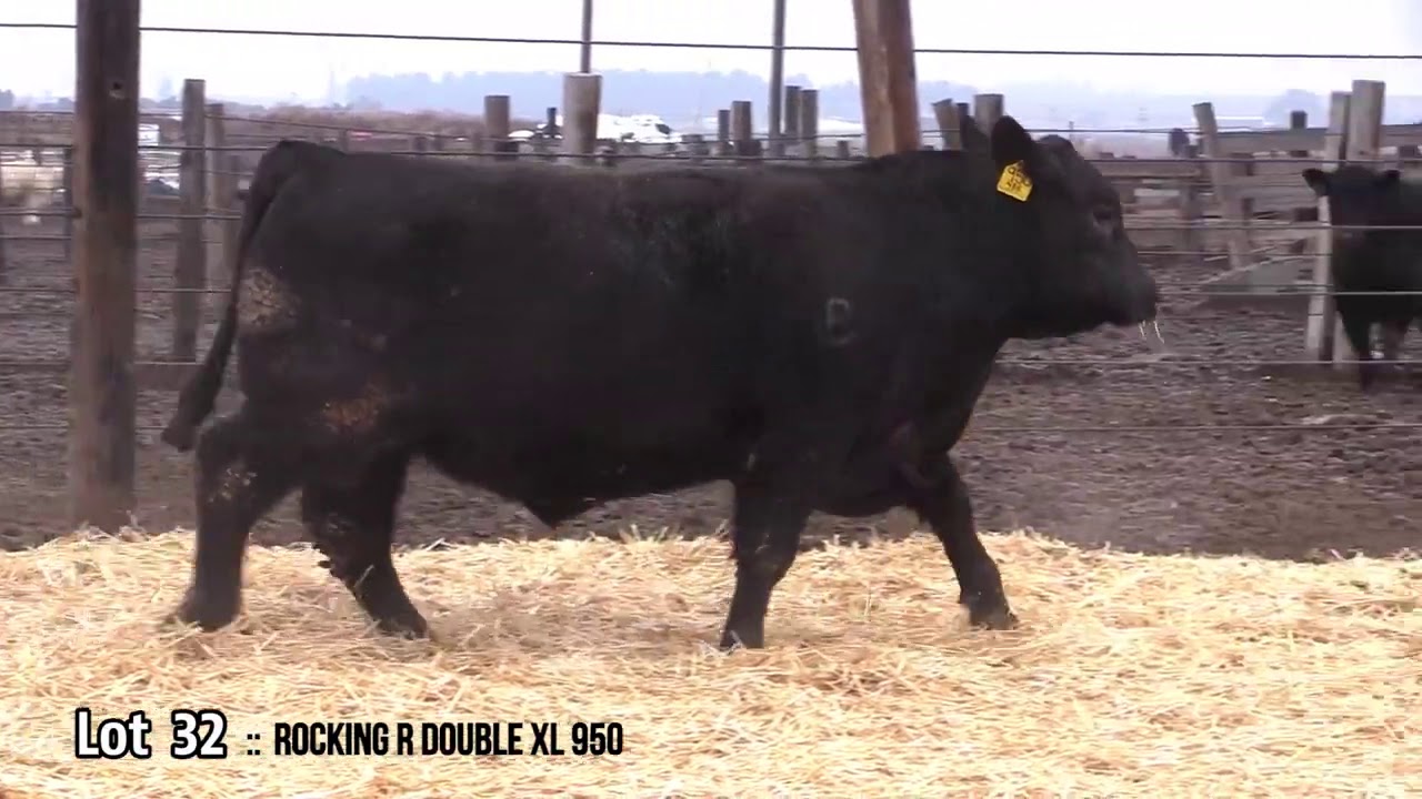 Lot 32 Rocking R Double XL 950 - YouTube