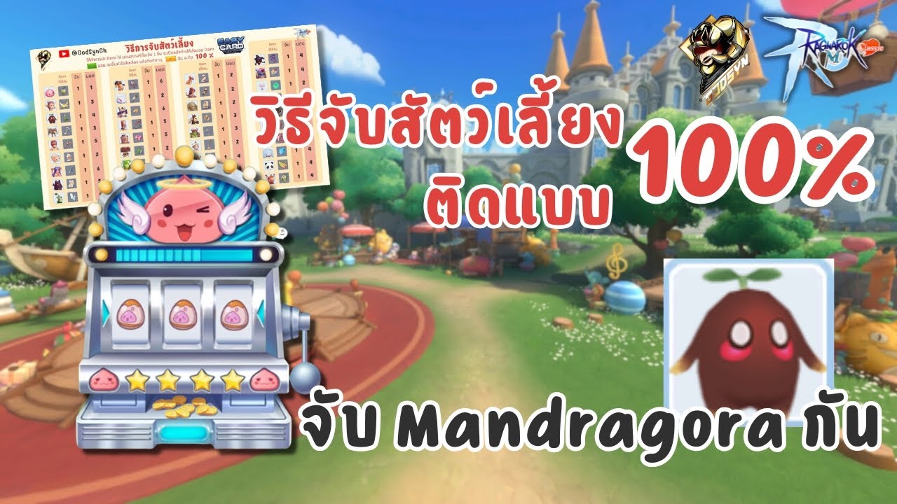 Ragnarok M: Classic | จับสัตว์เลี้ยงยังไงให้ติด 100% และ Mandragora จะ ...