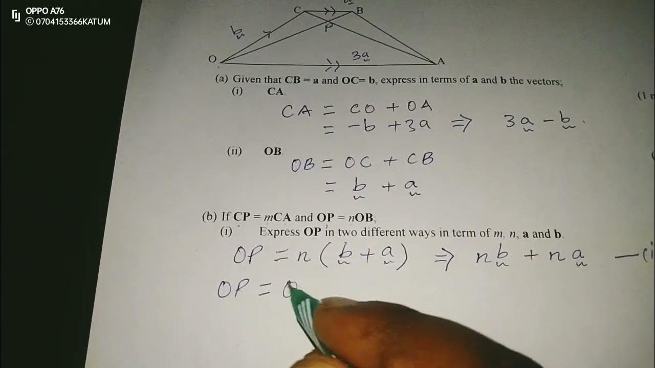 VECTOR 2: KCSE MATHS PAPER 2 PREDICTIONS - YouTube