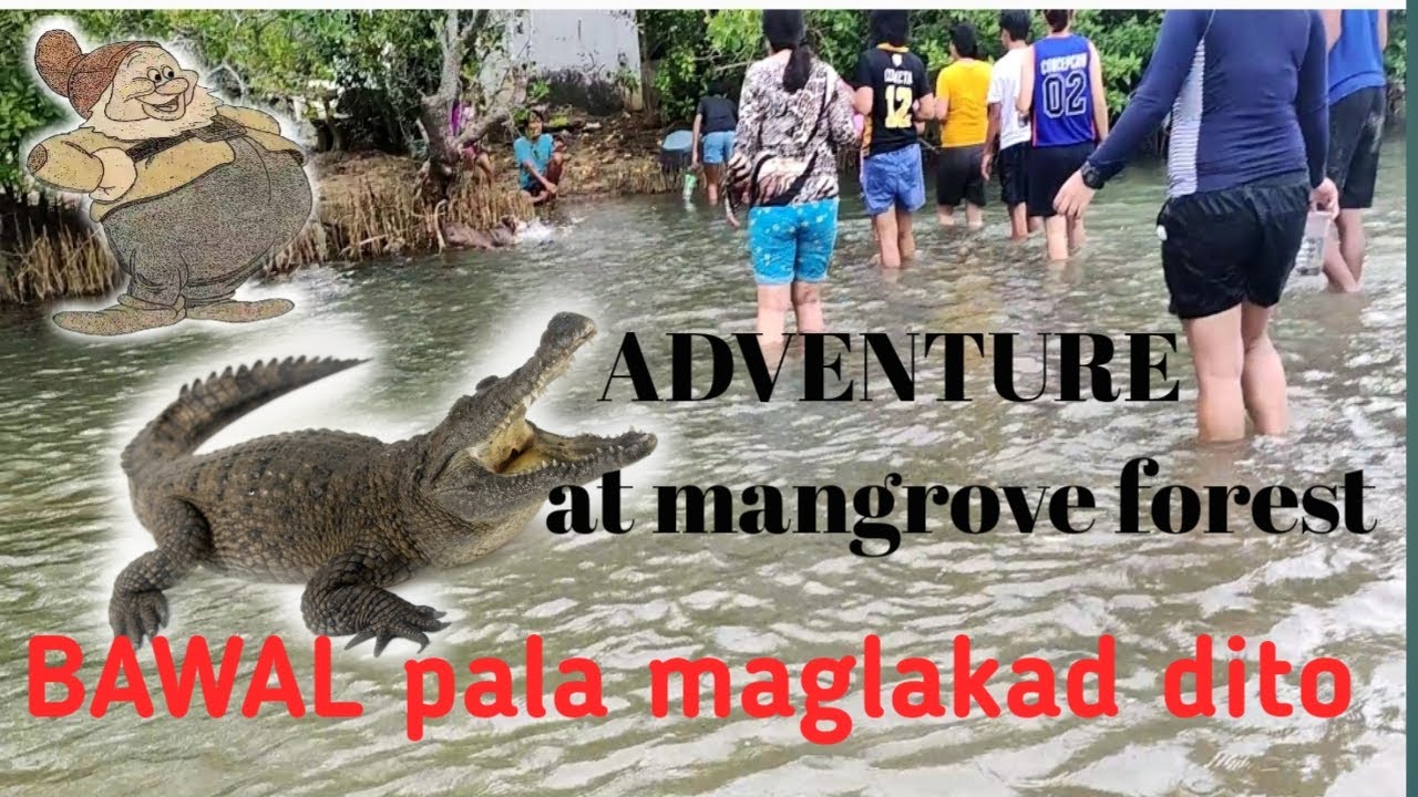 LAGADLARIN MANGROVE FOREST/ LOBO BATANGAS Part 3/Team Citron Conti# ...