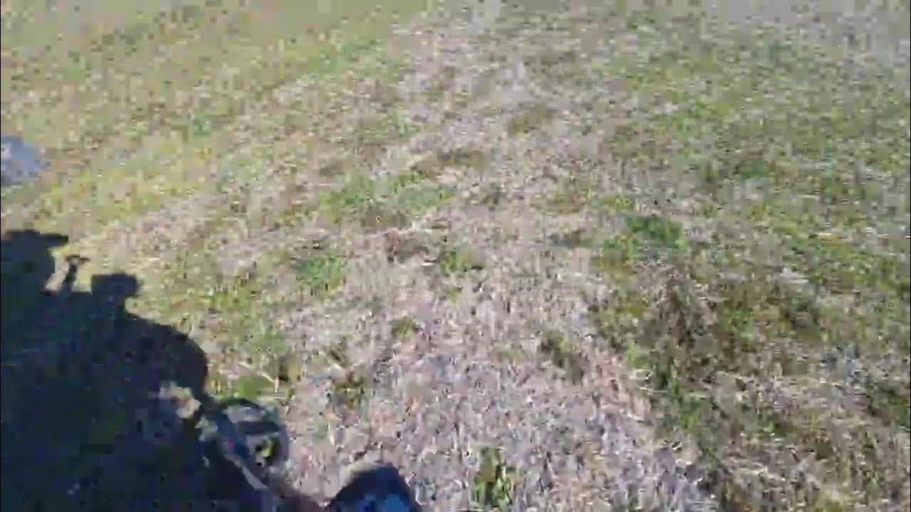 Metal Detecting A 1700s Farm Field - YouTube